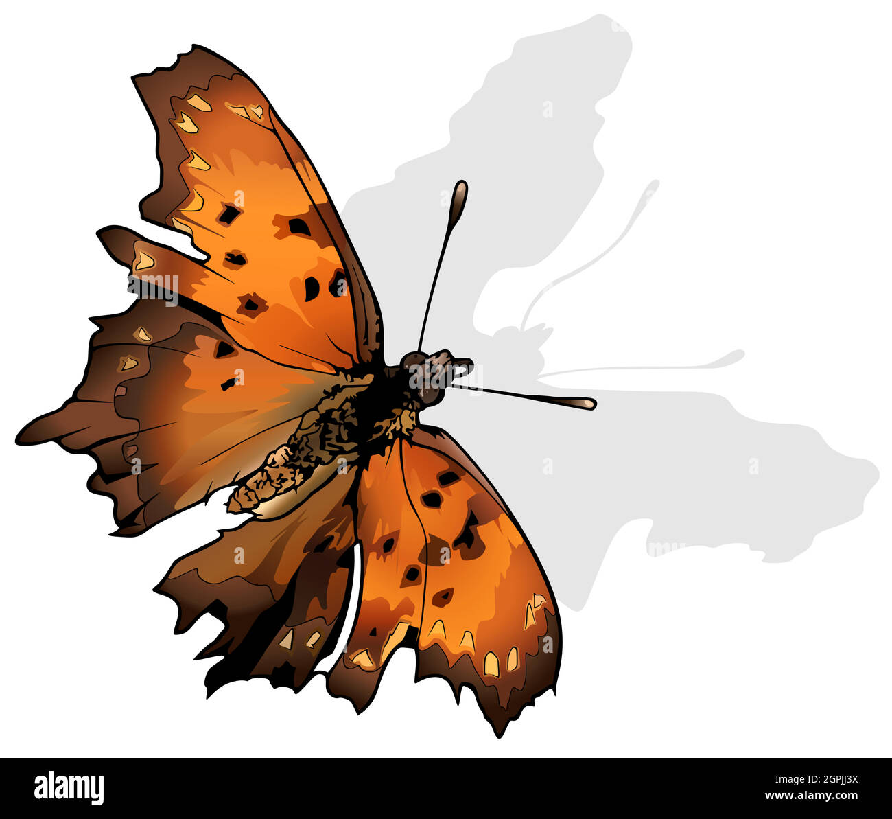 Question Mark Butterfly Stock Vector Image & Art - Alamy