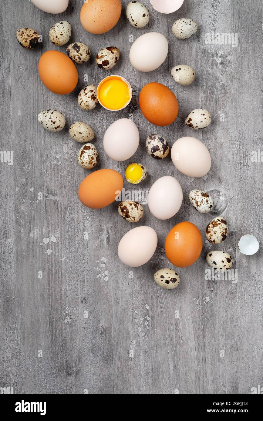 Top view quail chicken hi-res stock photography and images - Alamy