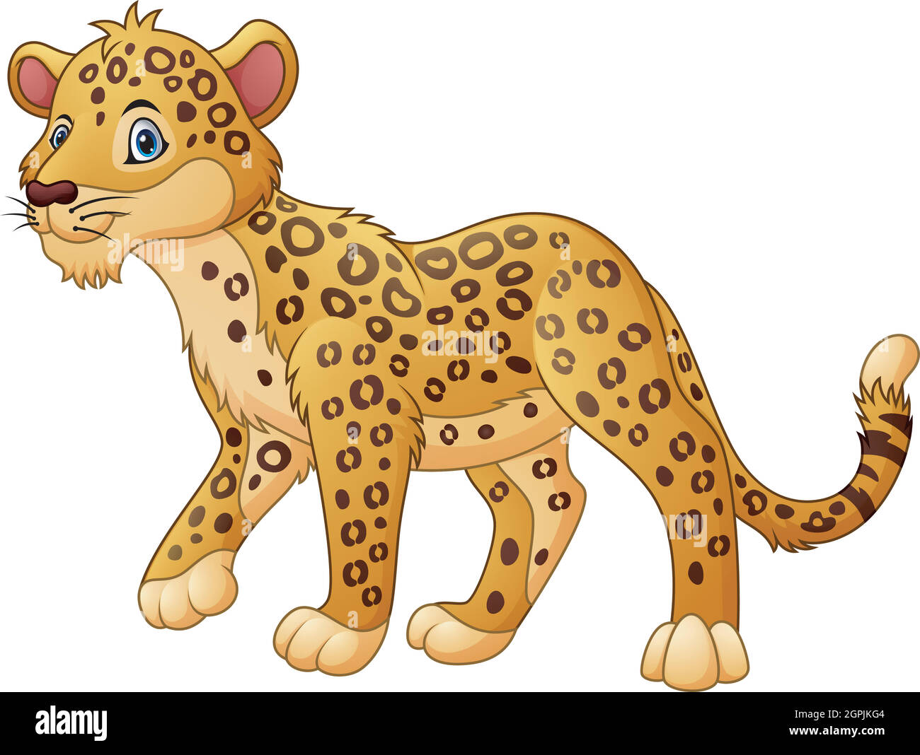 Cheetah cub walking Stock Vector Images - Alamy