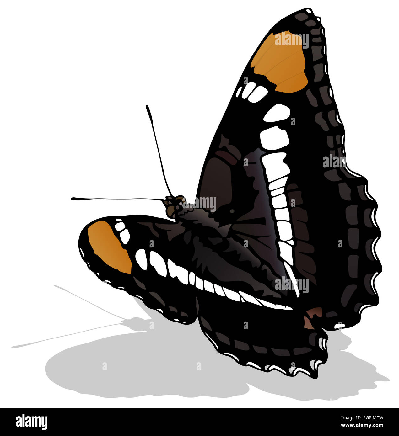 Sister with sister Stock Vector Images - Alamy