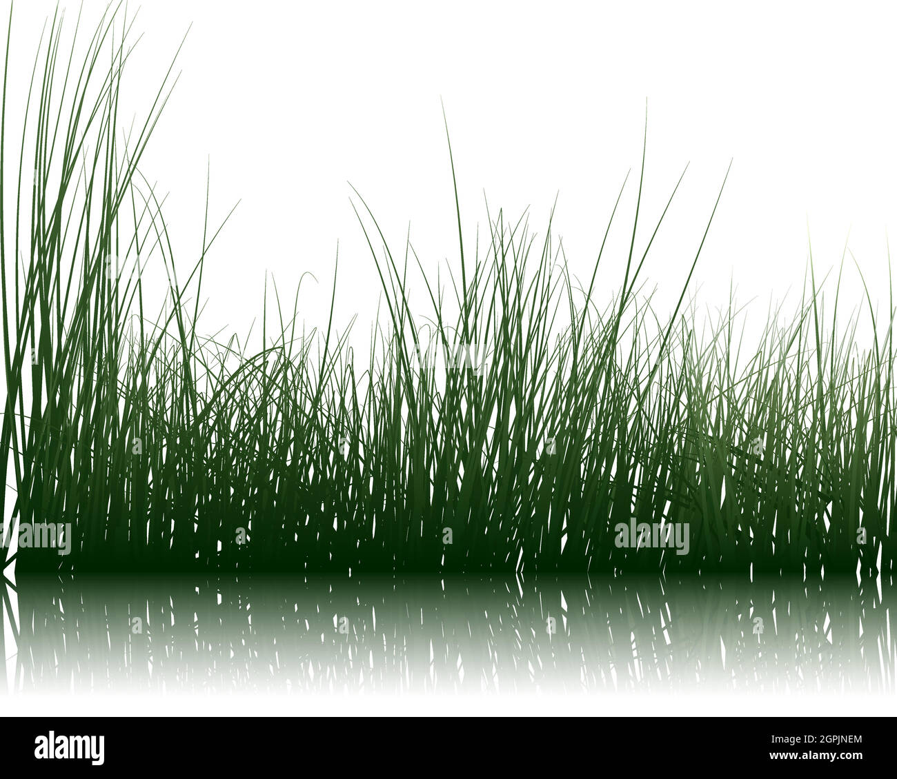 Foliage in water Stock Vector Images - Alamy