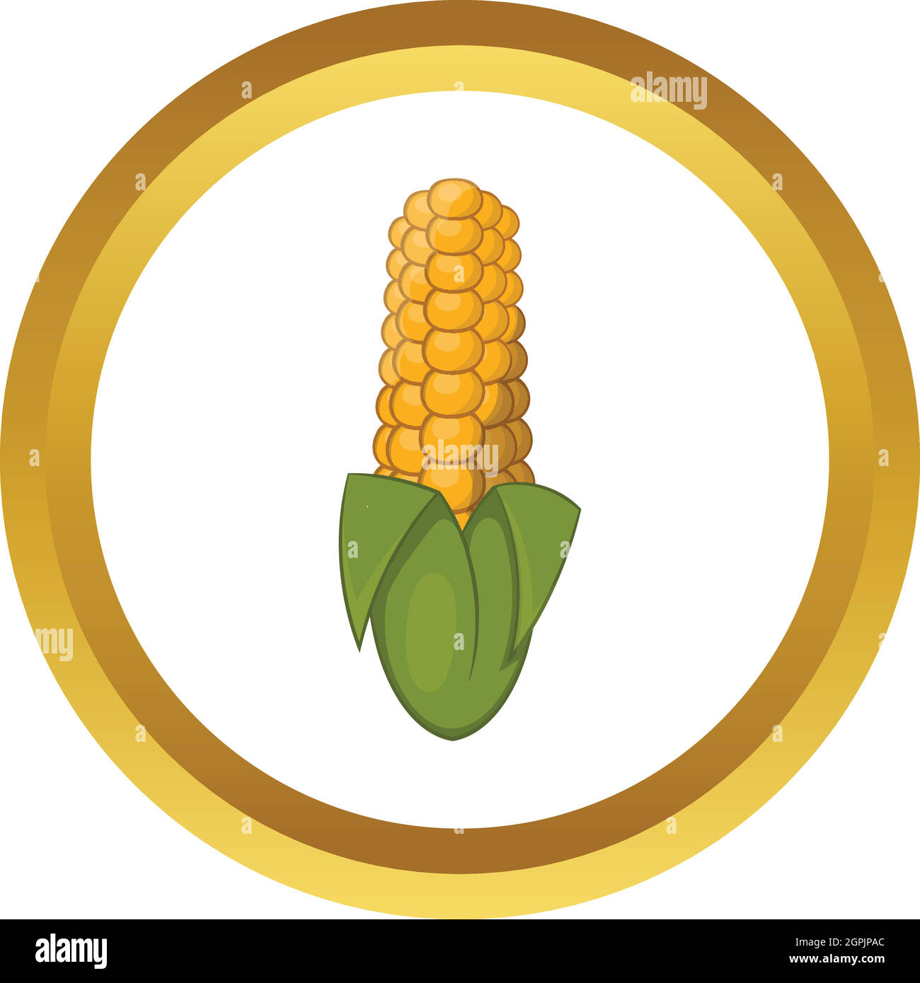 Ear of corn vector icon Stock Vector Image & Art - Alamy
