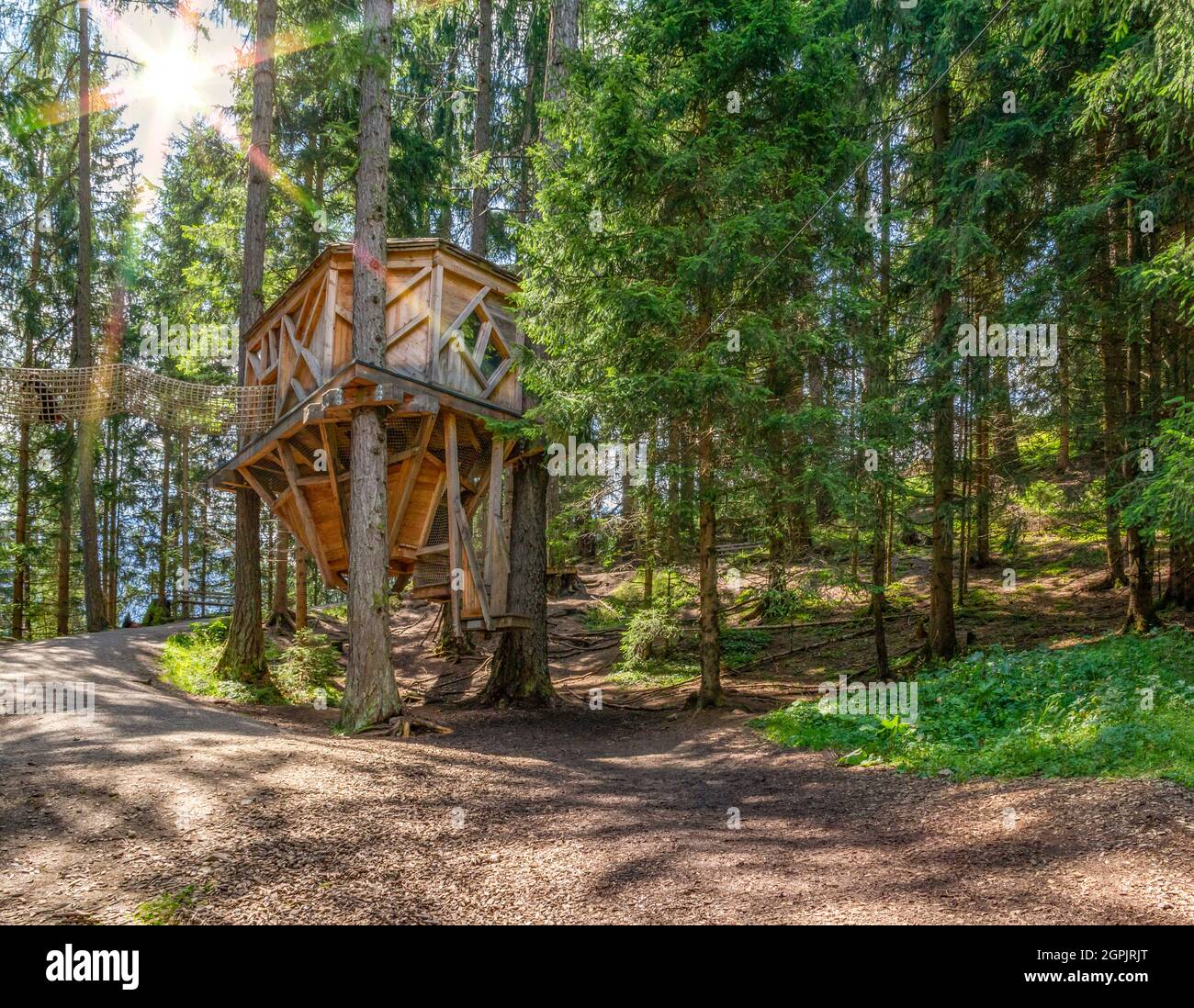 Sunny adventure park scenery in a forest Stock Photo - Alamy