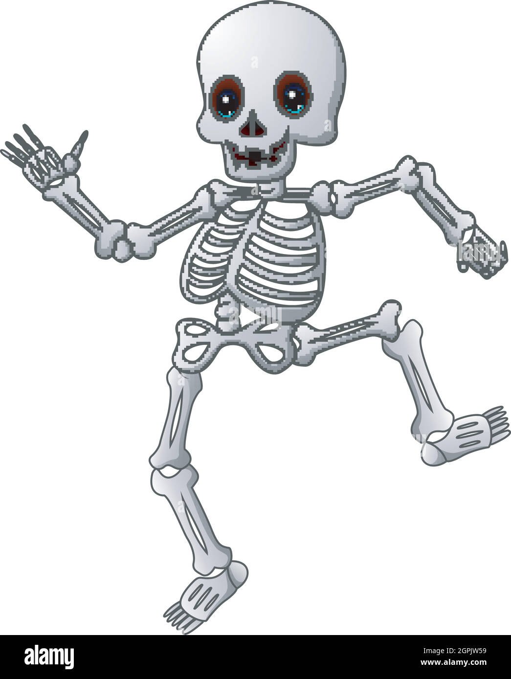 Human Skeletal Evolution Stock Vector Images Alamy