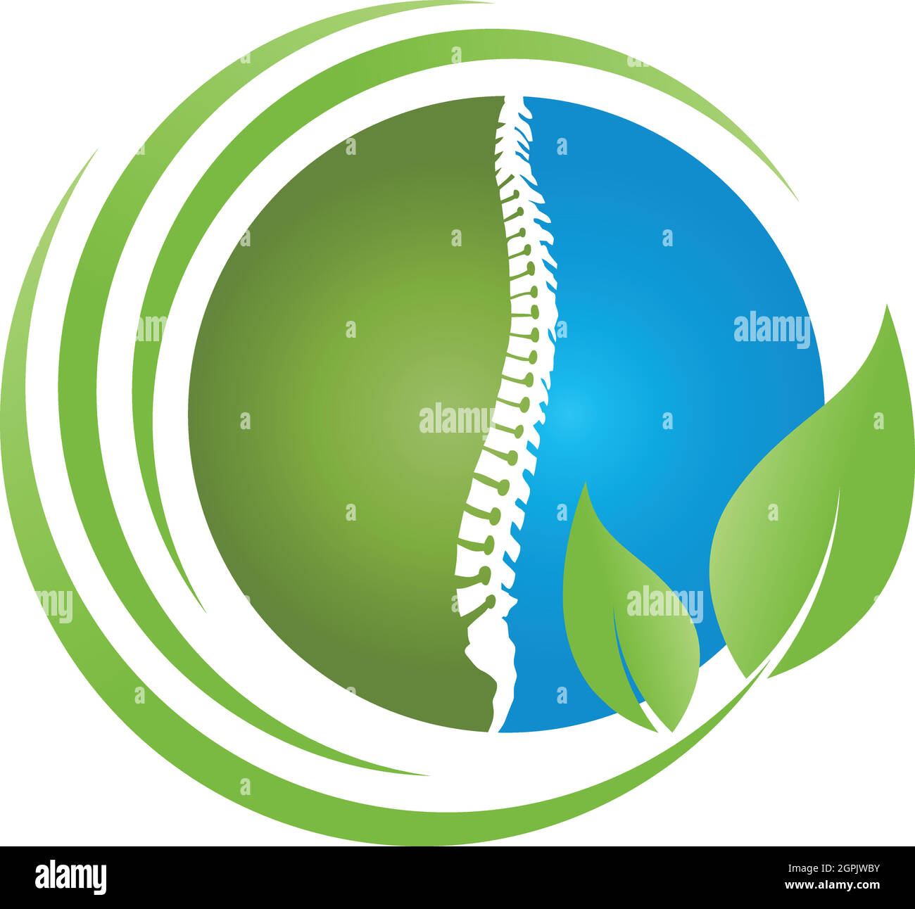 Spine and leaves, back, orthopedics, massage, logo Stock Vector Image ...