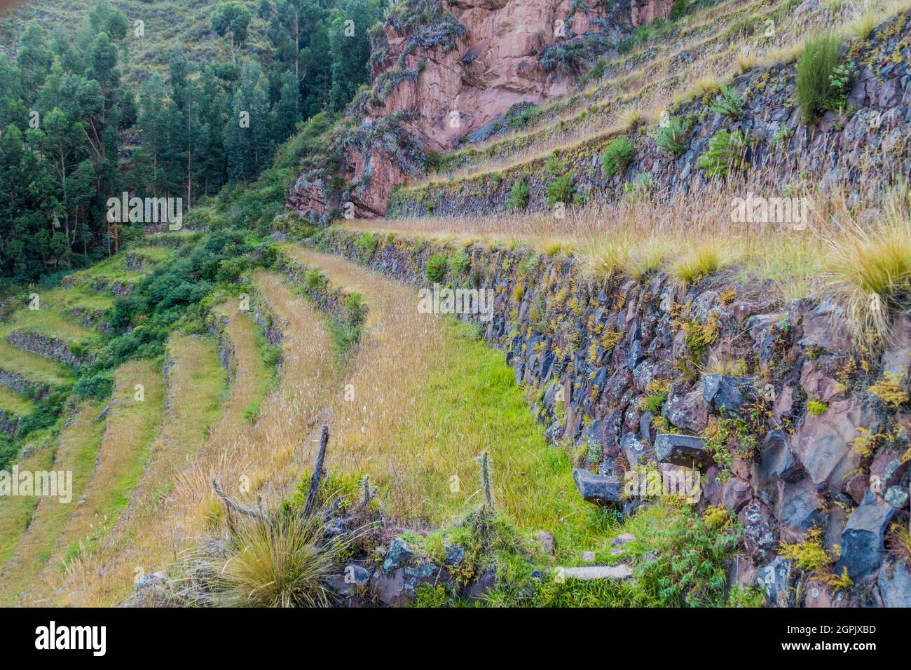 Ancient Inca's agricultural terraces near Pisac village, Peru Stock ...