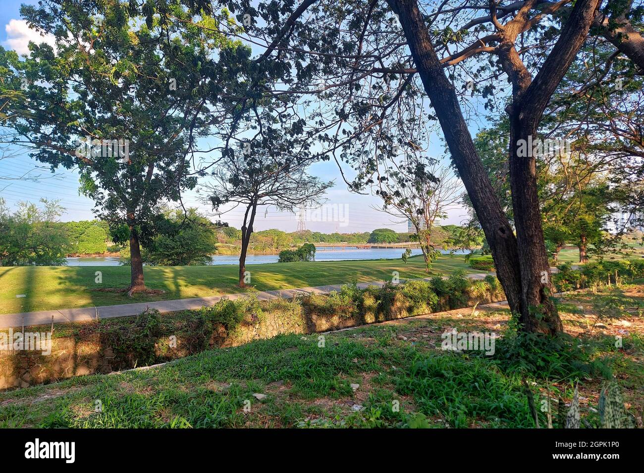 Taman Hutan Raya Kemayoran Park, Jakarta Stock Photo - Alamy