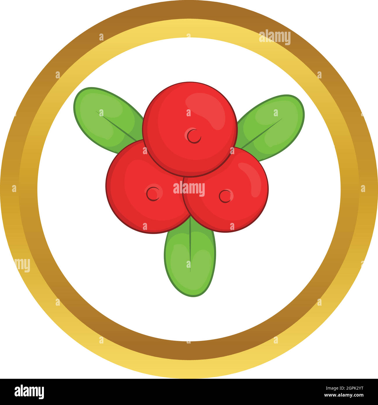 Cowberry vector icon Stock Vector Image & Art - Alamy