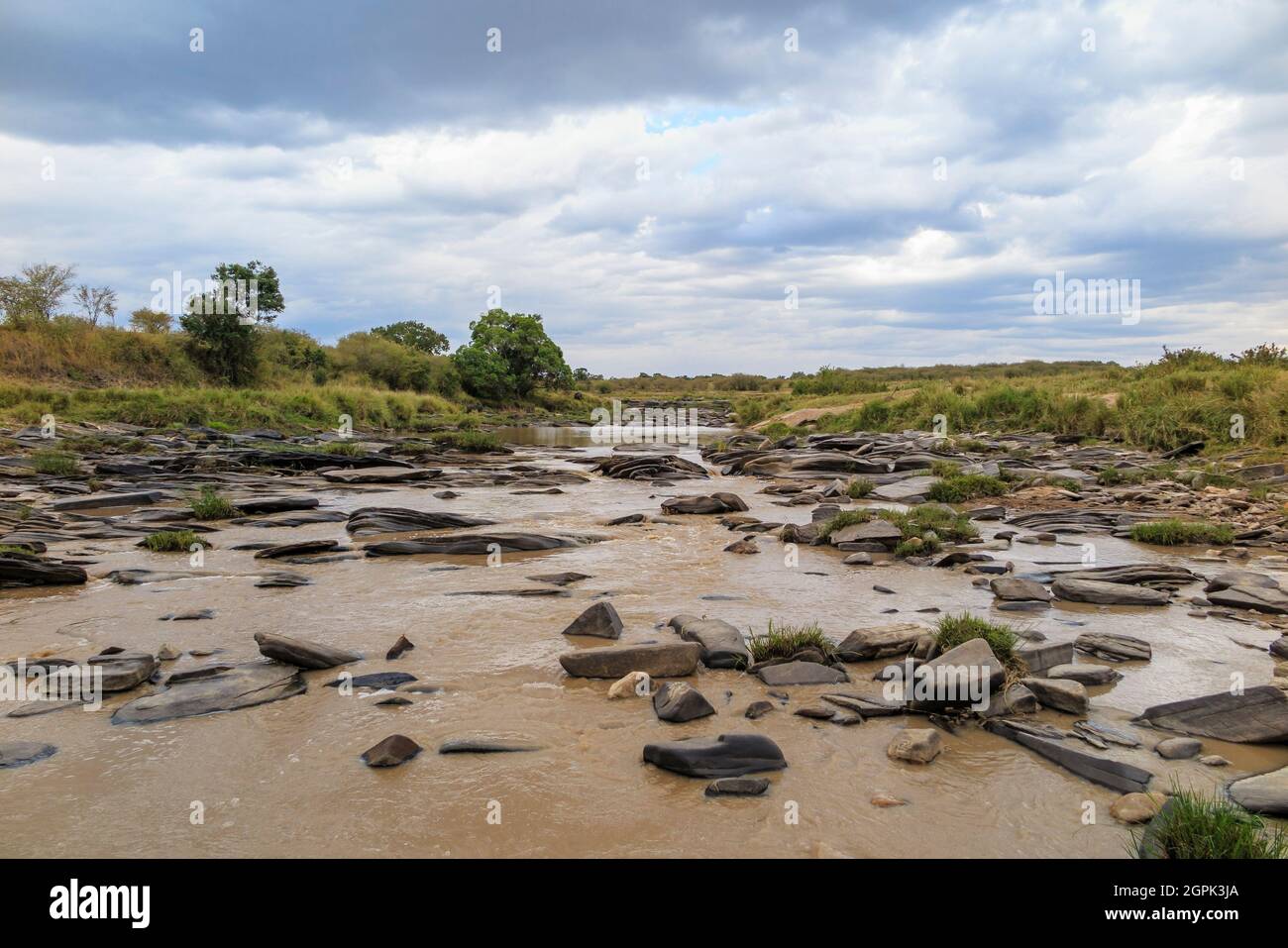 Shallow river crossing in the Masai Mara, Kenya Stock Photo - Alamy