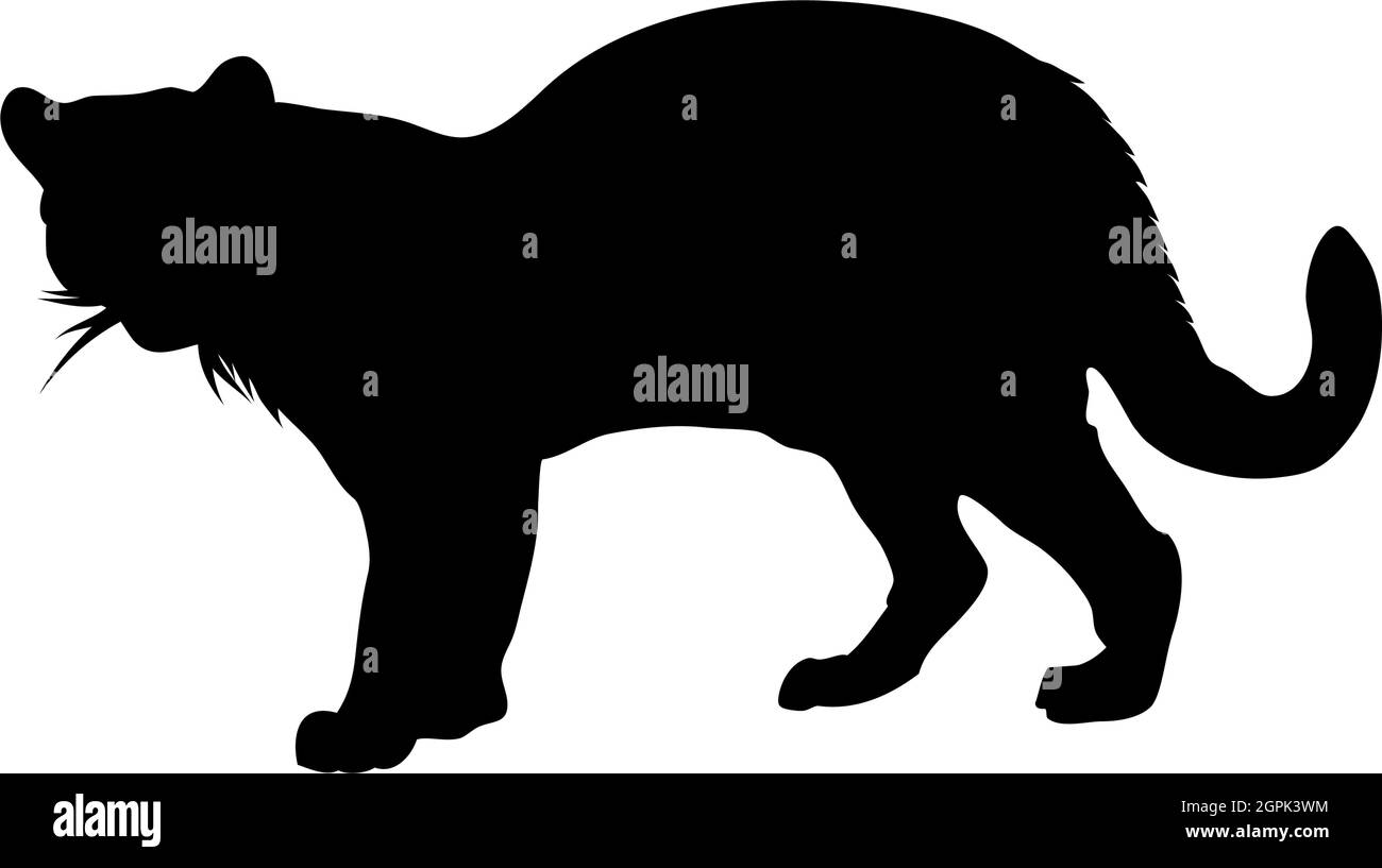 Ocelot wildcat wildlife Cut Out Stock Images & Pictures - Alamy