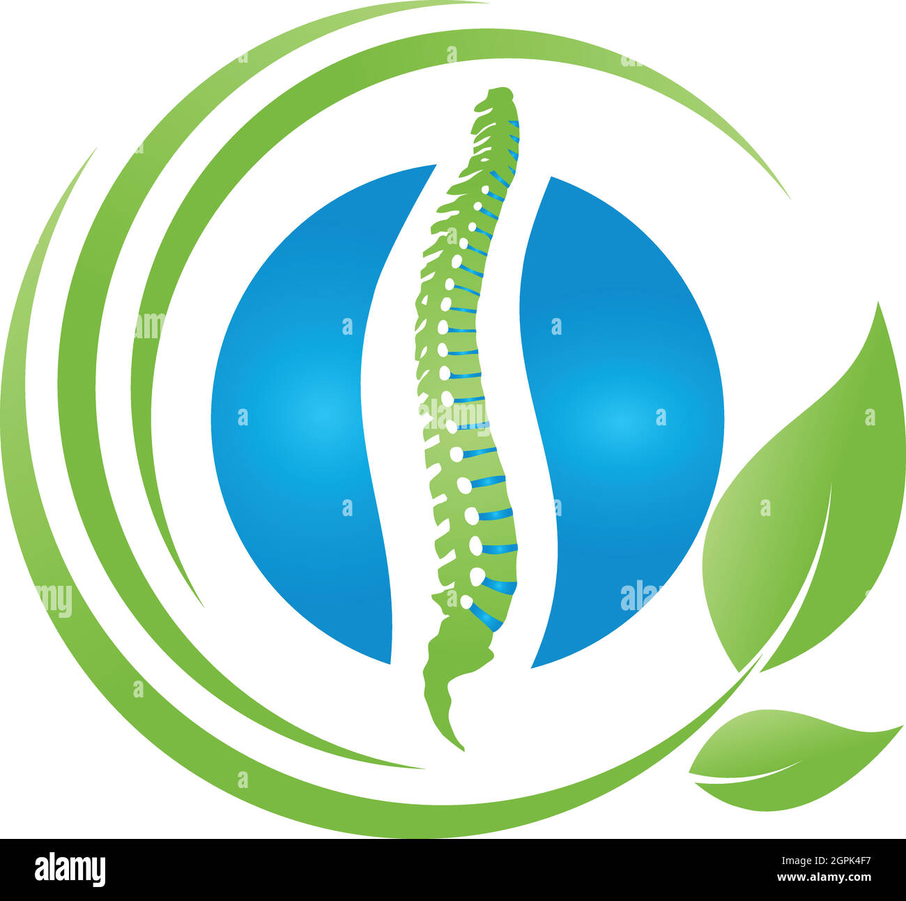 Spine and leaves, back, orthopedics, massage, logo Stock Vector Image ...