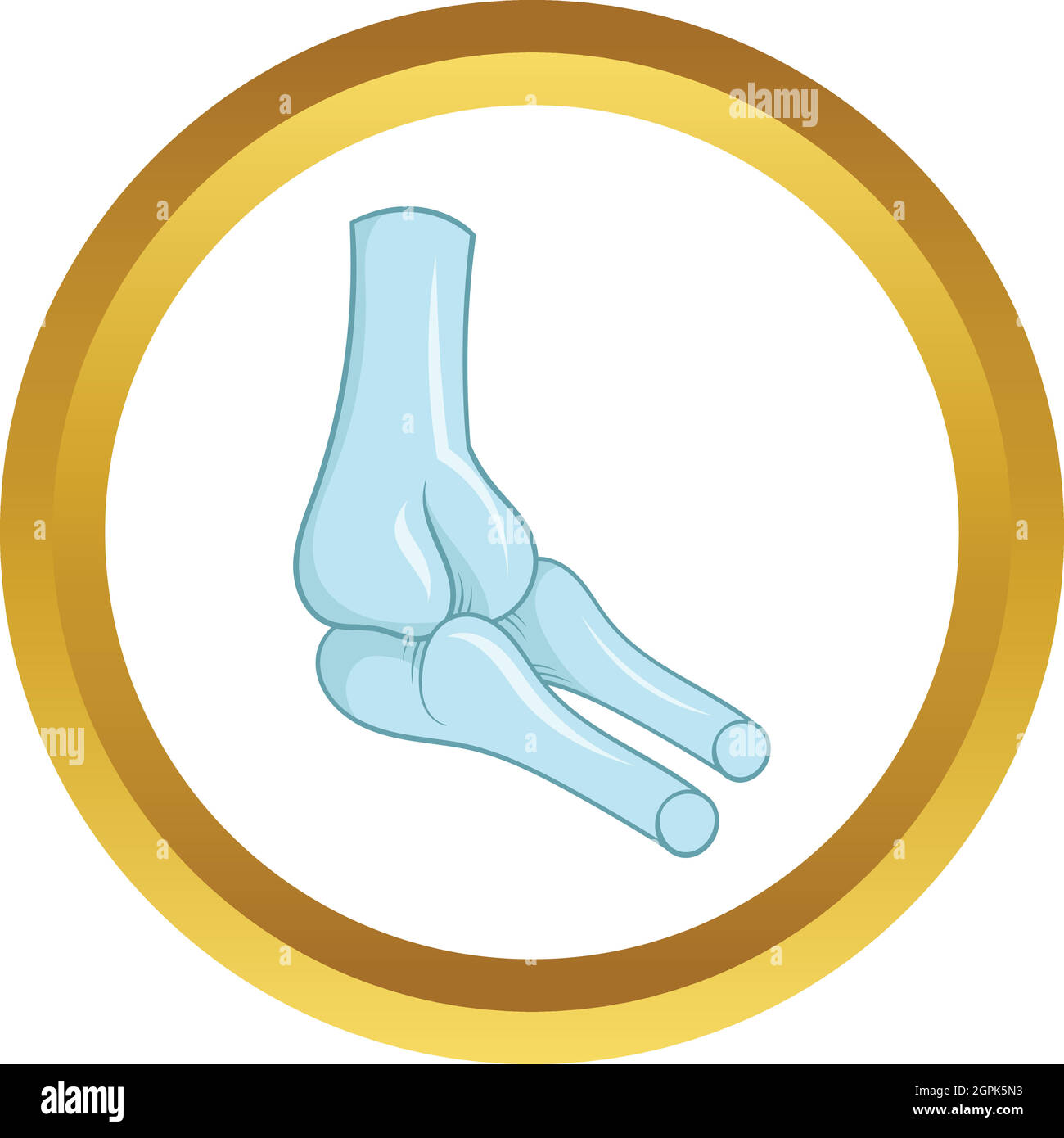 Human foot skeleton bones Stock Vector Images - Alamy