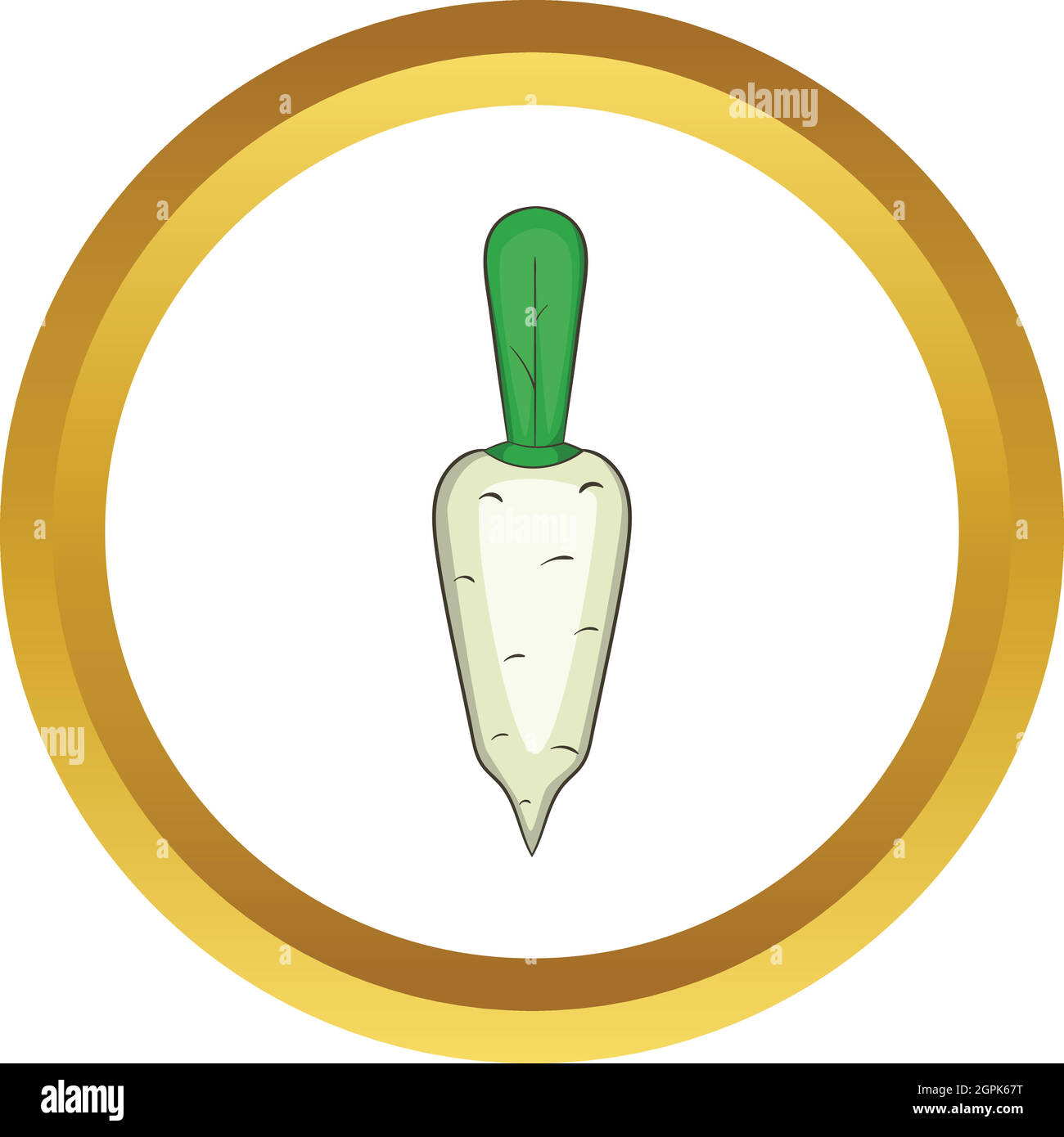 Daikon vegetable vector icon Stock Vector Image & Art - Alamy