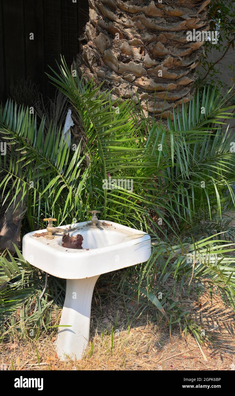 A bizarre sink under a palm tree, Port Costa CA Stock Photo - Alamy