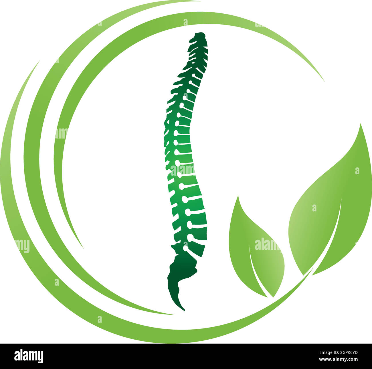 Spine and leaves, back, orthopedics, massage, logo Stock Vector Image ...
