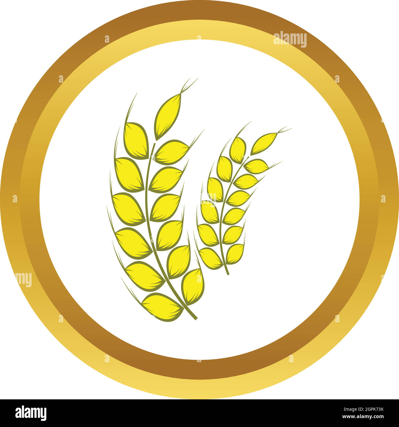 Two stalks of ripe barley vector icon Stock Vector Image & Art - Alamy