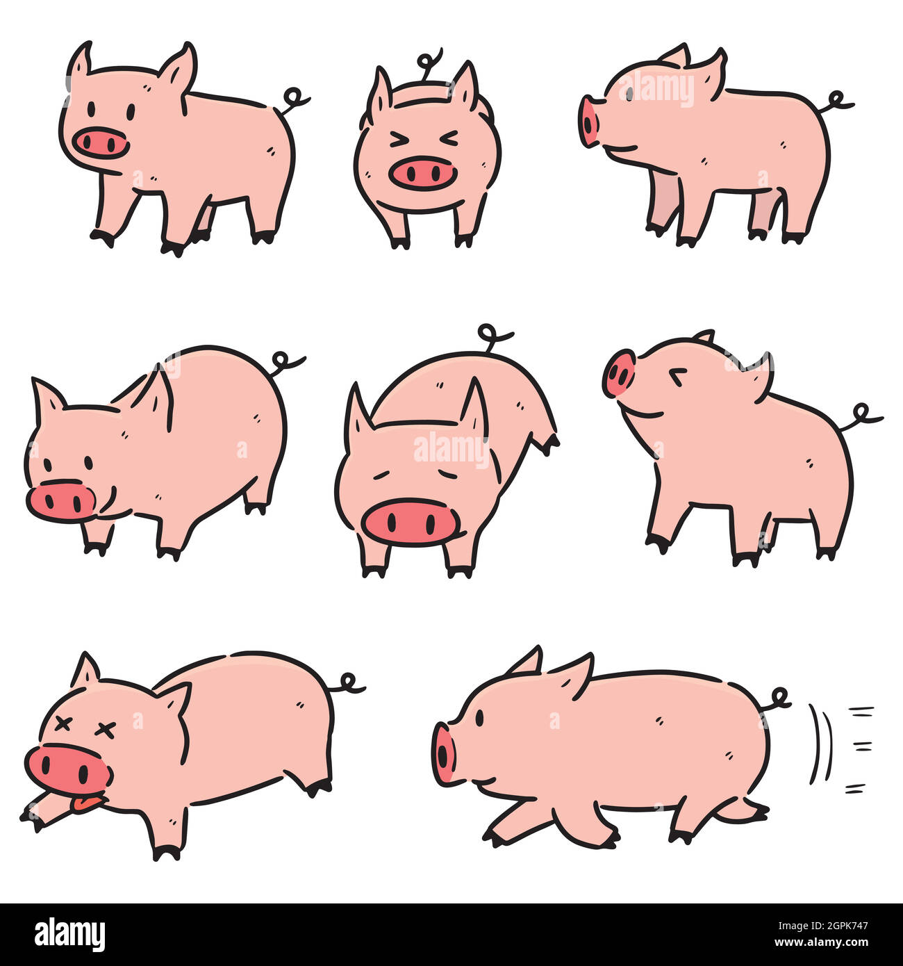 vector set of pig Stock Vector Image & Art - Alamy