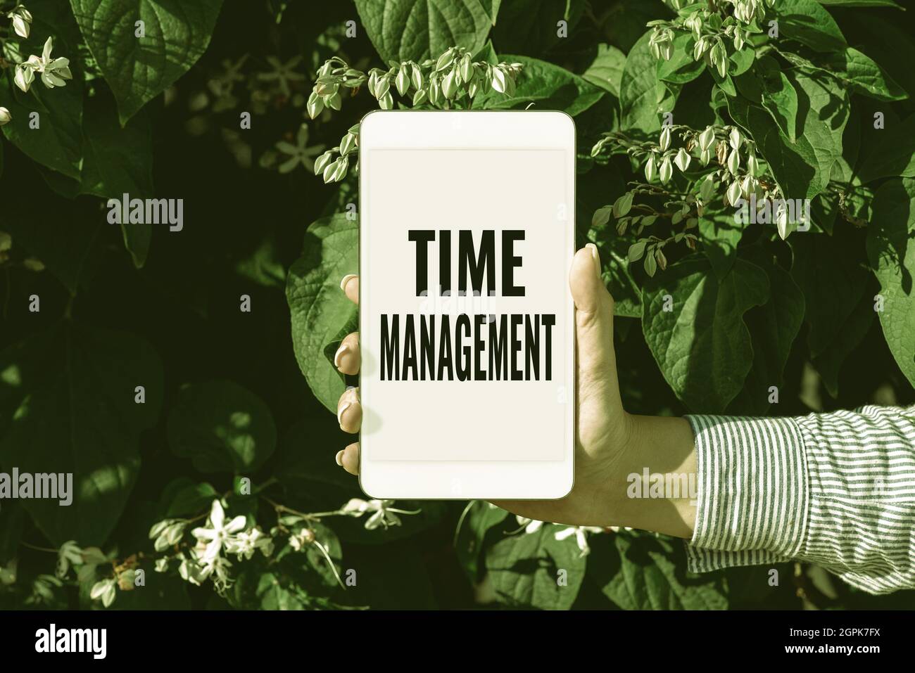 Conceptual display Time Management. Word Written on the ability to use ...