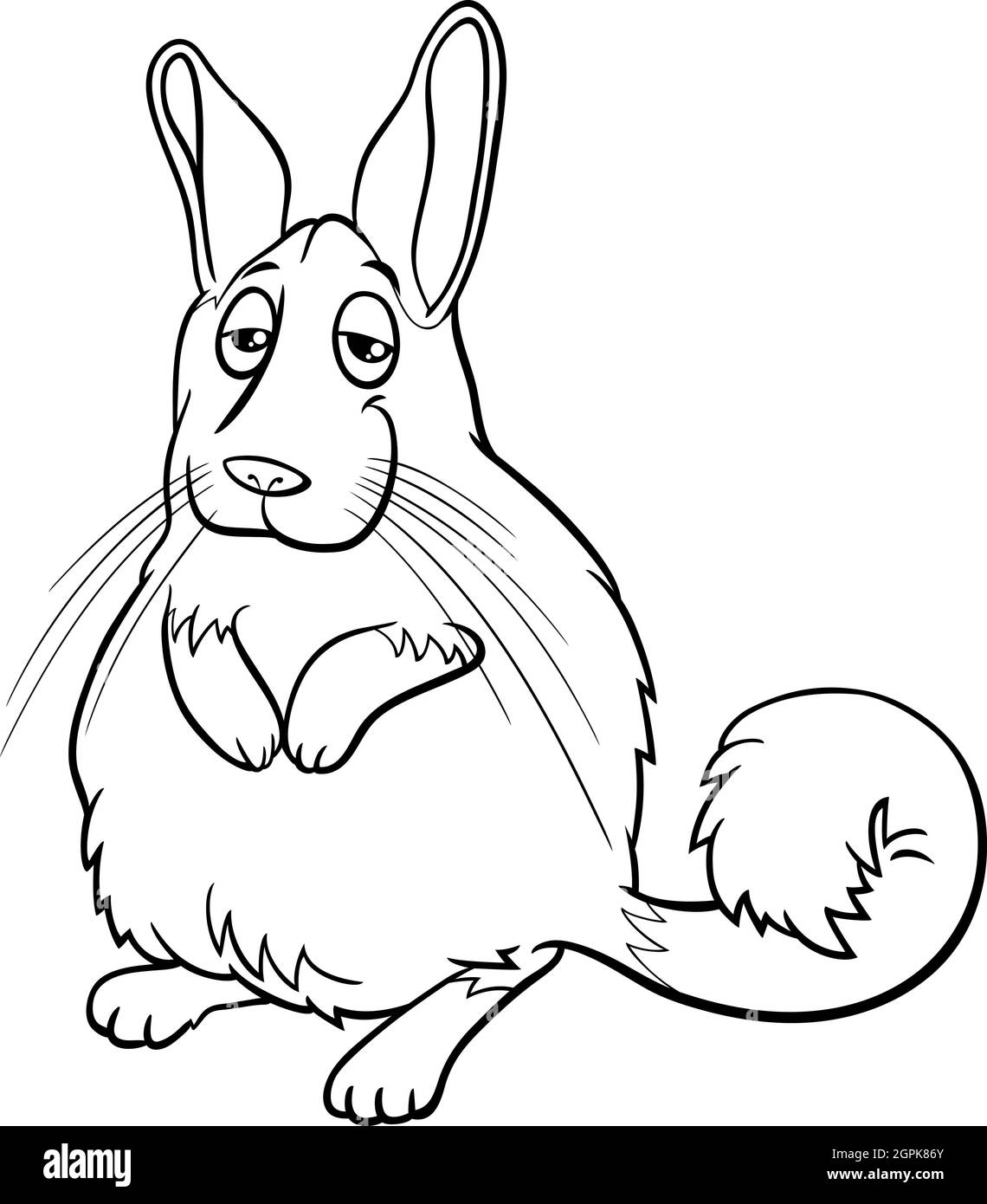 cartoon viscacha animal character coloring book page Stock Vector Image ...