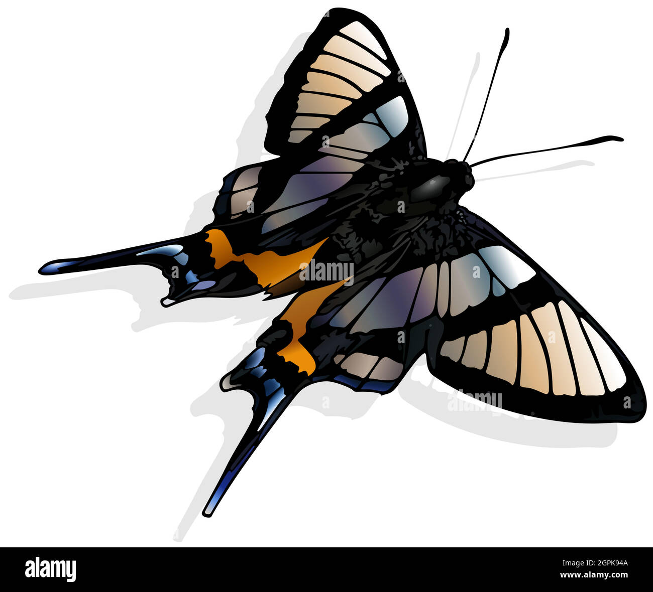 Elegant angel Cut Out Stock Images & Pictures - Alamy