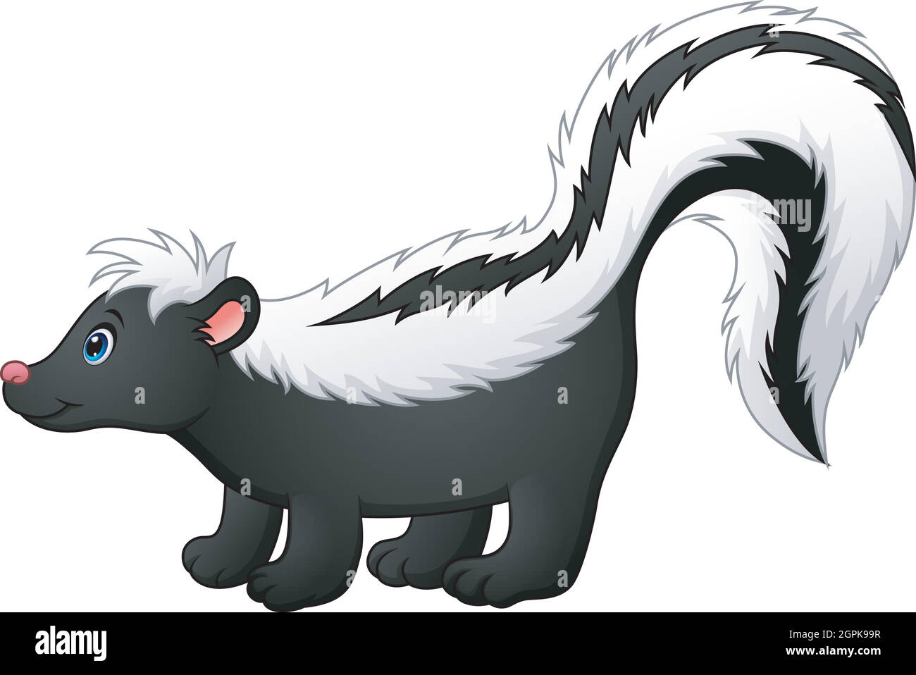 Vector illustration of Cute skunk cartoon Stock Vector Image & Art - Alamy