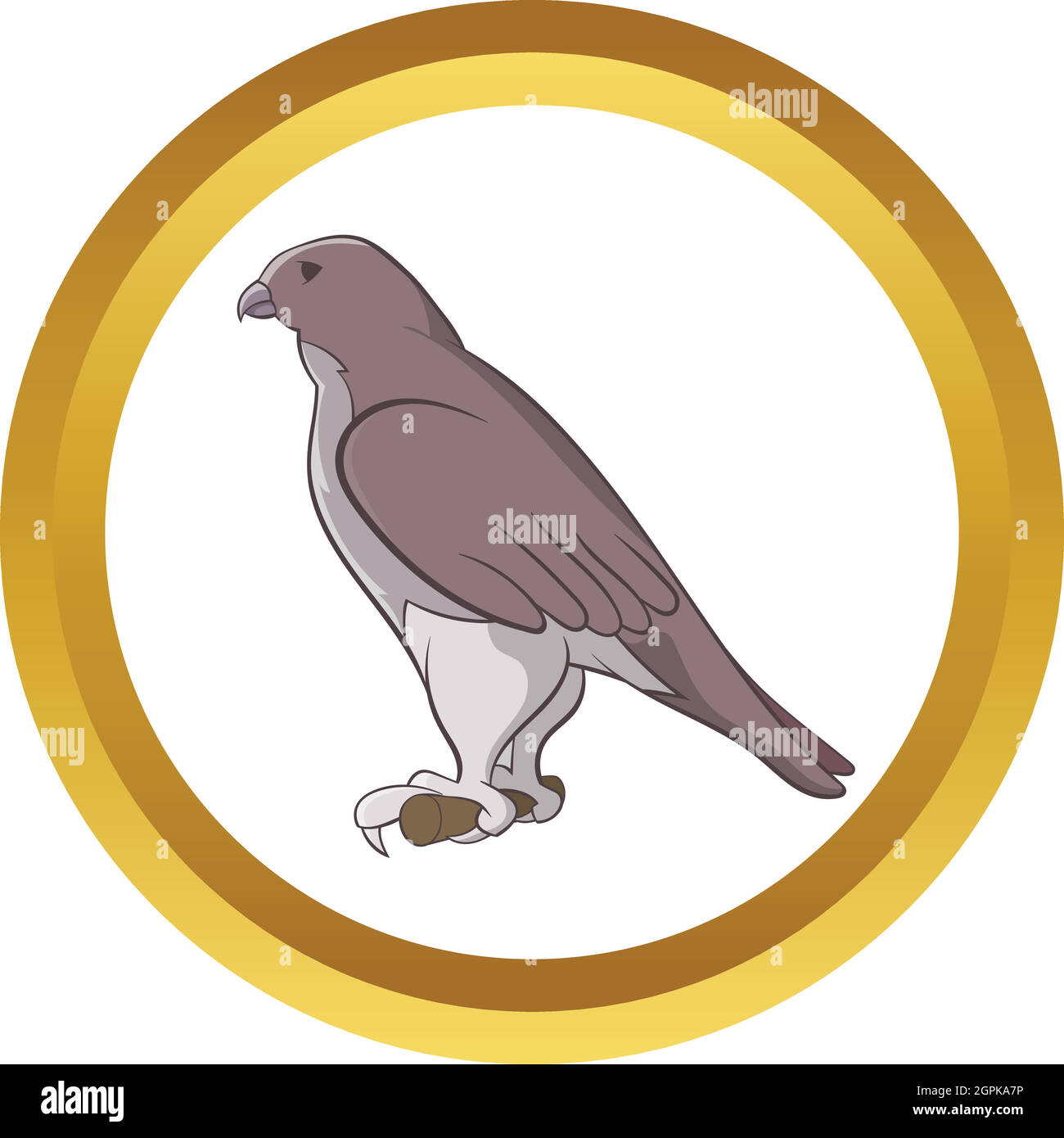 How To Draw A Cartoon Falcon