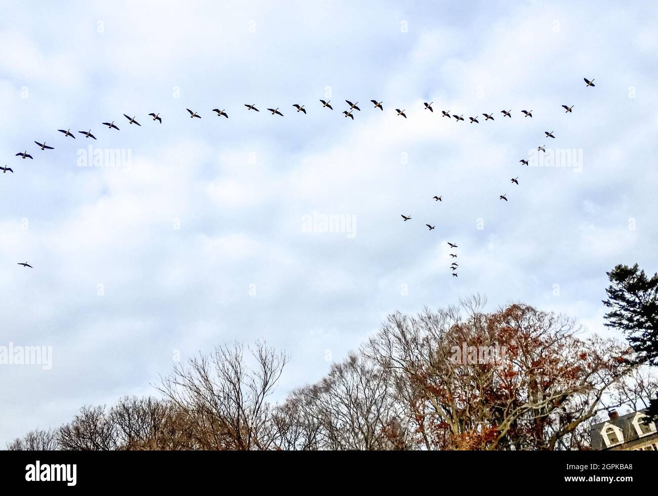 V shaped movement hi-res stock photography and images - Alamy