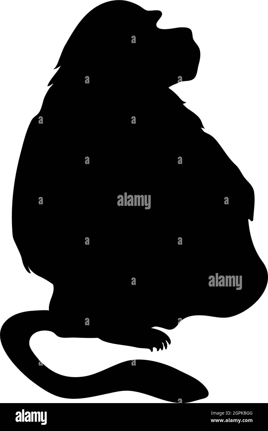 Baboon and background Black and White Stock Photos & Images - Alamy