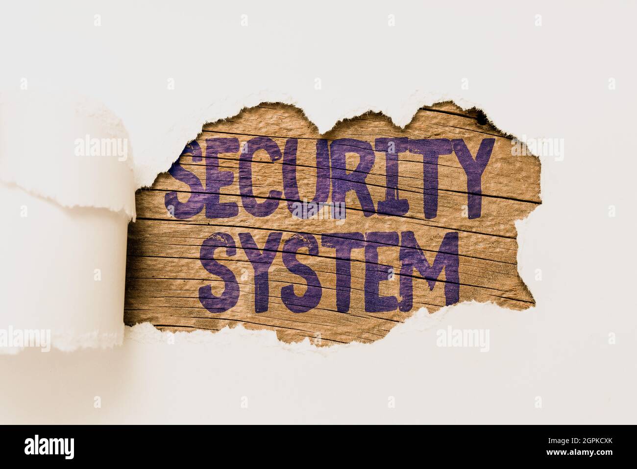 Sign displaying Security System. Business overview system designed to ...