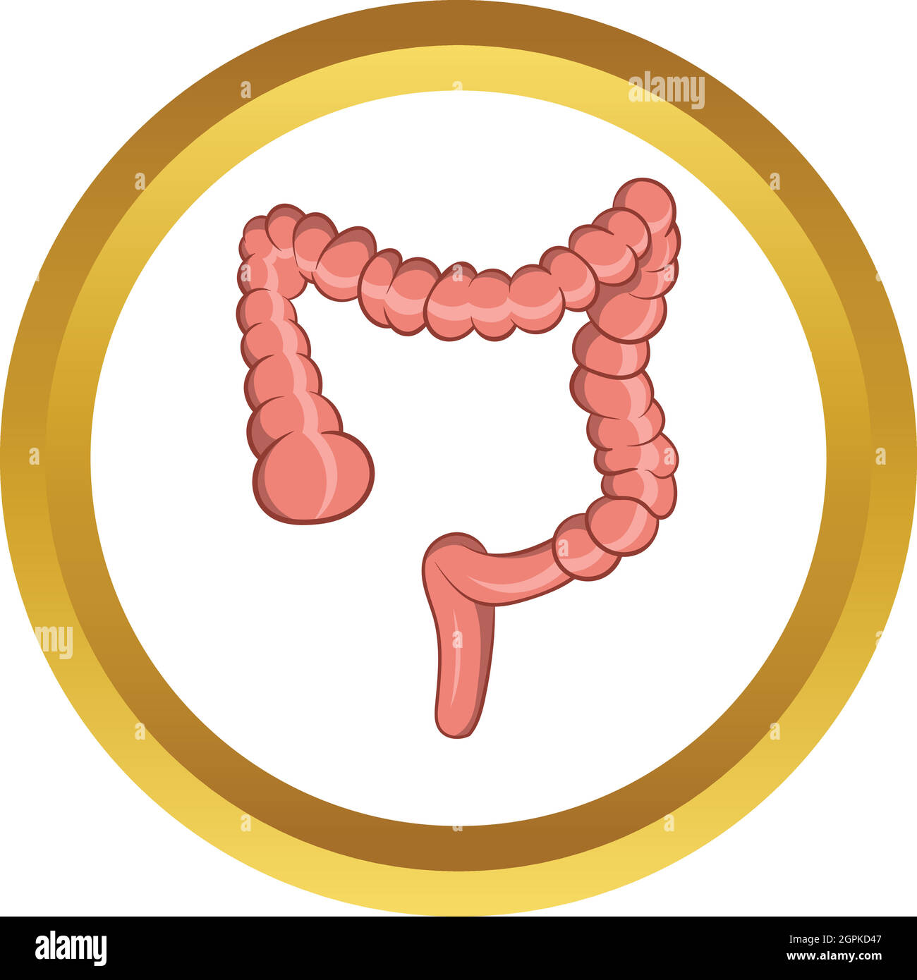Intestine vector icon Stock Vector Image & Art - Alamy