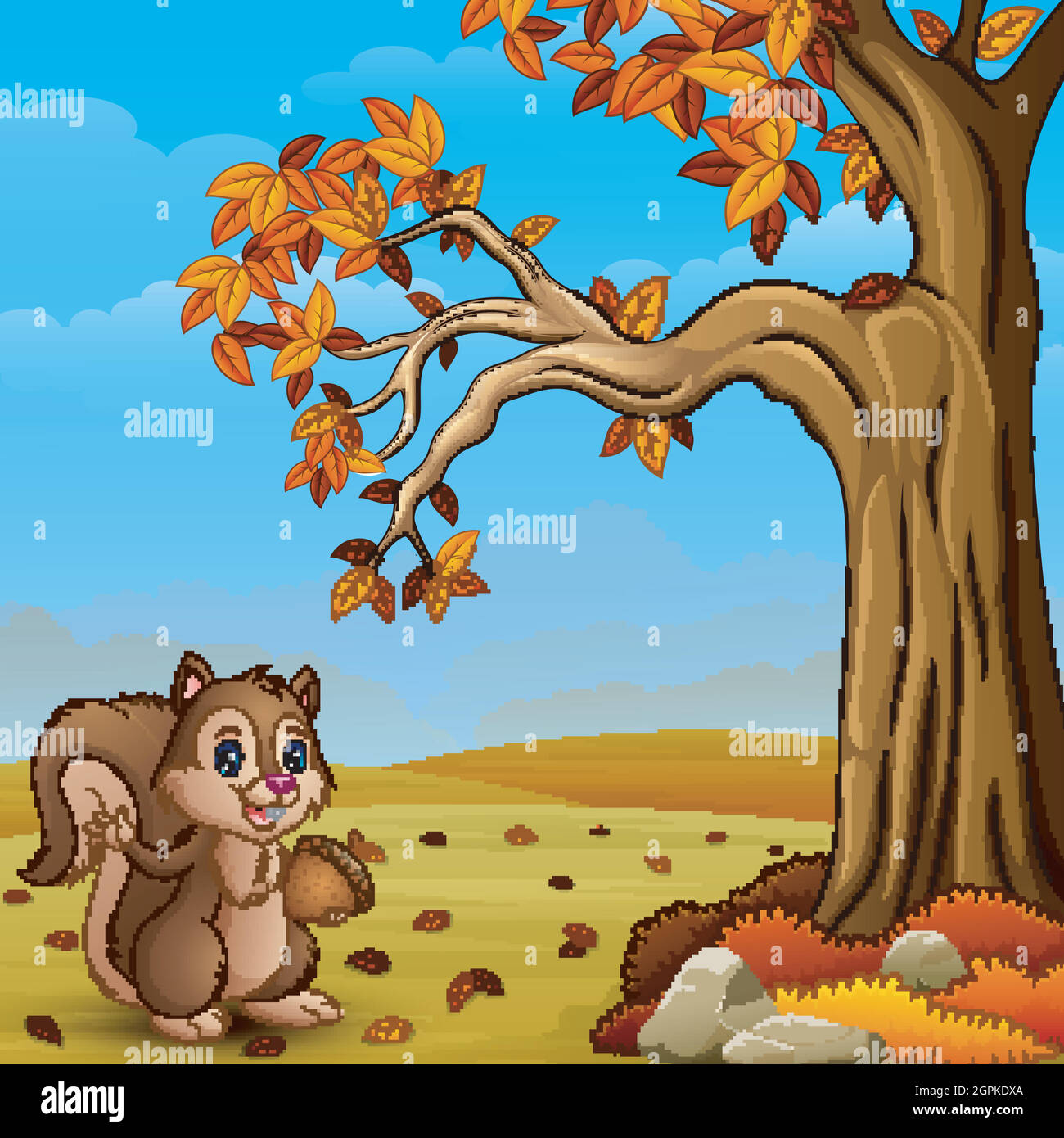 Red squirrel in fall Stock Vector Images - Alamy