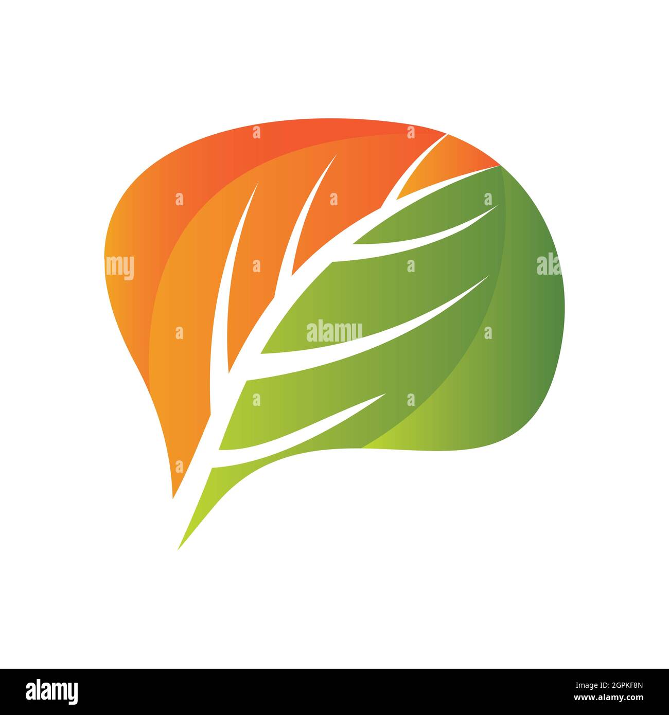 Vector leaves flowers collection Cut Out Stock Images & Pictures - Alamy