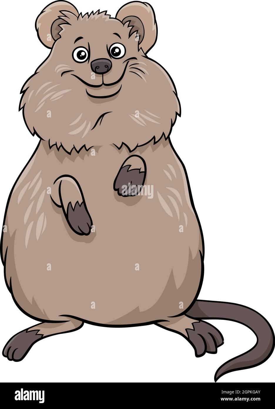 cartoon quokka comic animal character Stock Vector Image & Art - Alamy