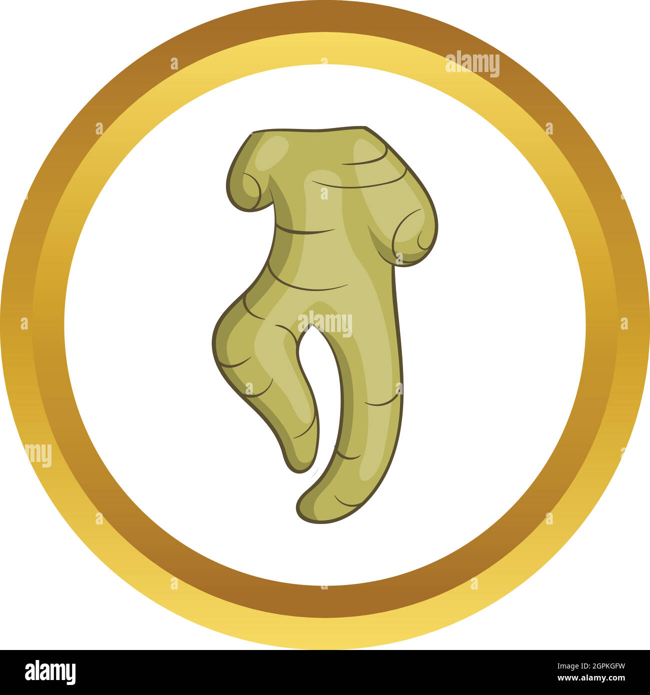 Ginseng root vector icon Stock Vector Image & Art - Alamy