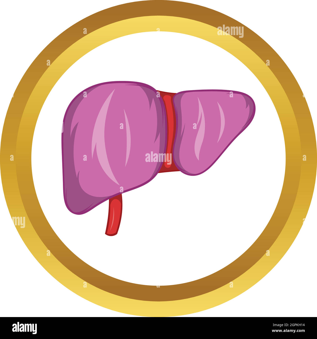 Liver human cartoon design Stock Vector Images - Alamy