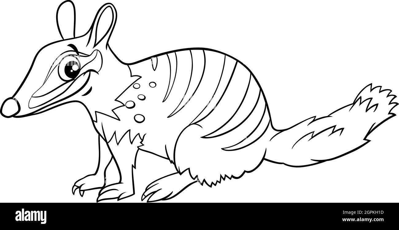 Numbat Coloring Pages