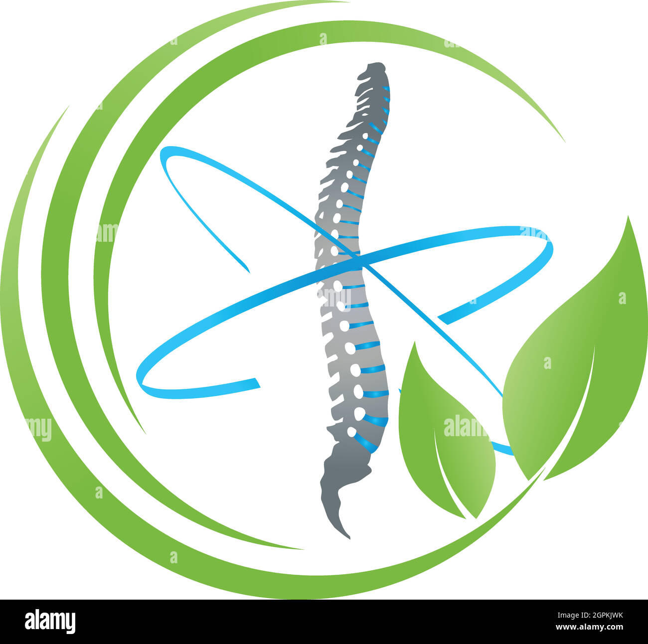 Spine and leaves, back, orthopedics, massage, logo Stock Vector Image ...