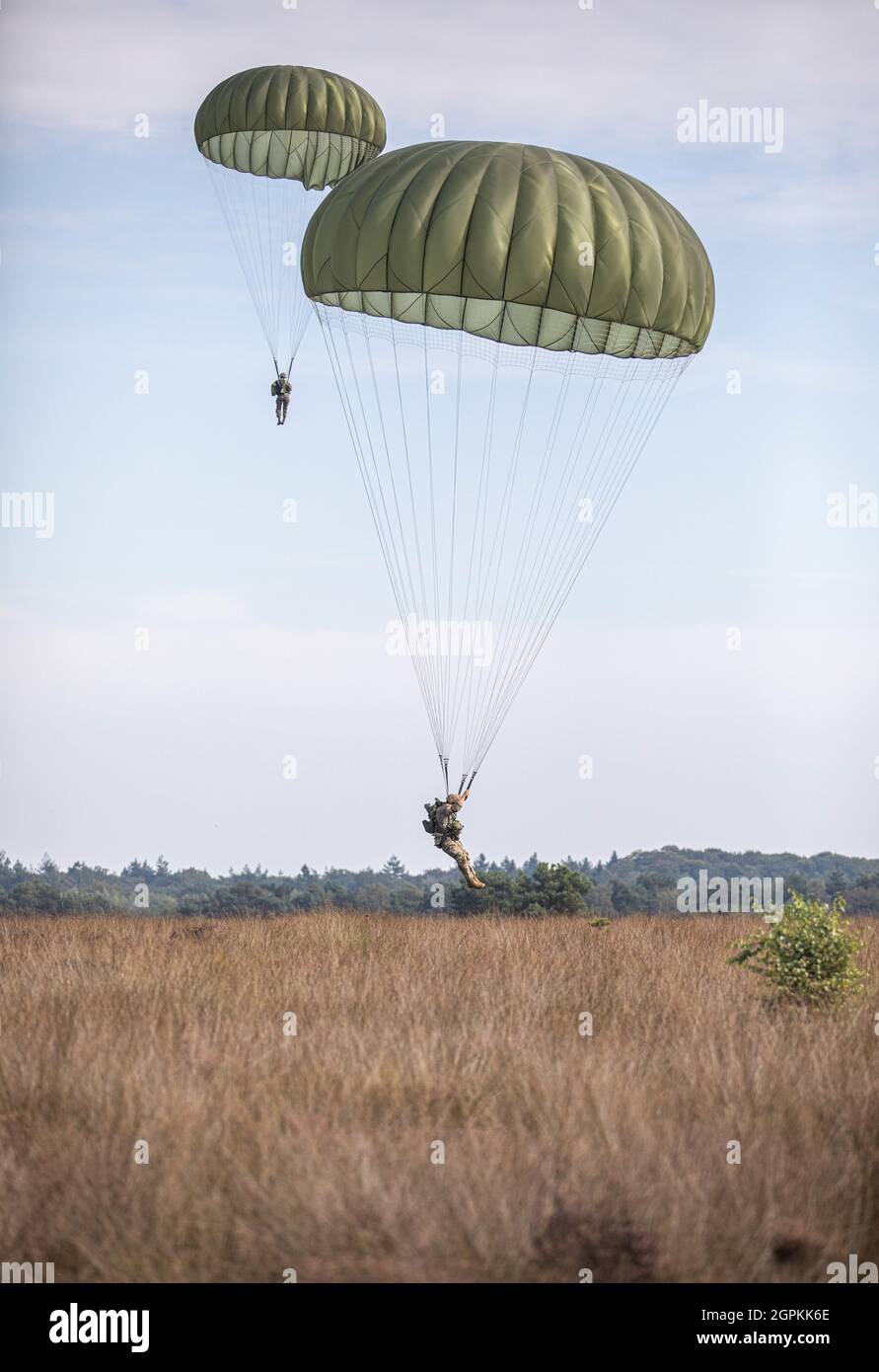 Falcon leap 2021 hi-res stock photography and images - Alamy