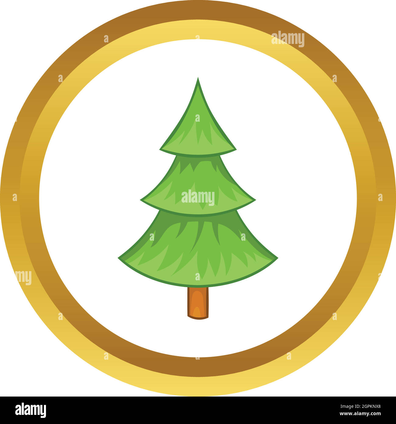 Single conifer tree Stock Vector Images - Alamy