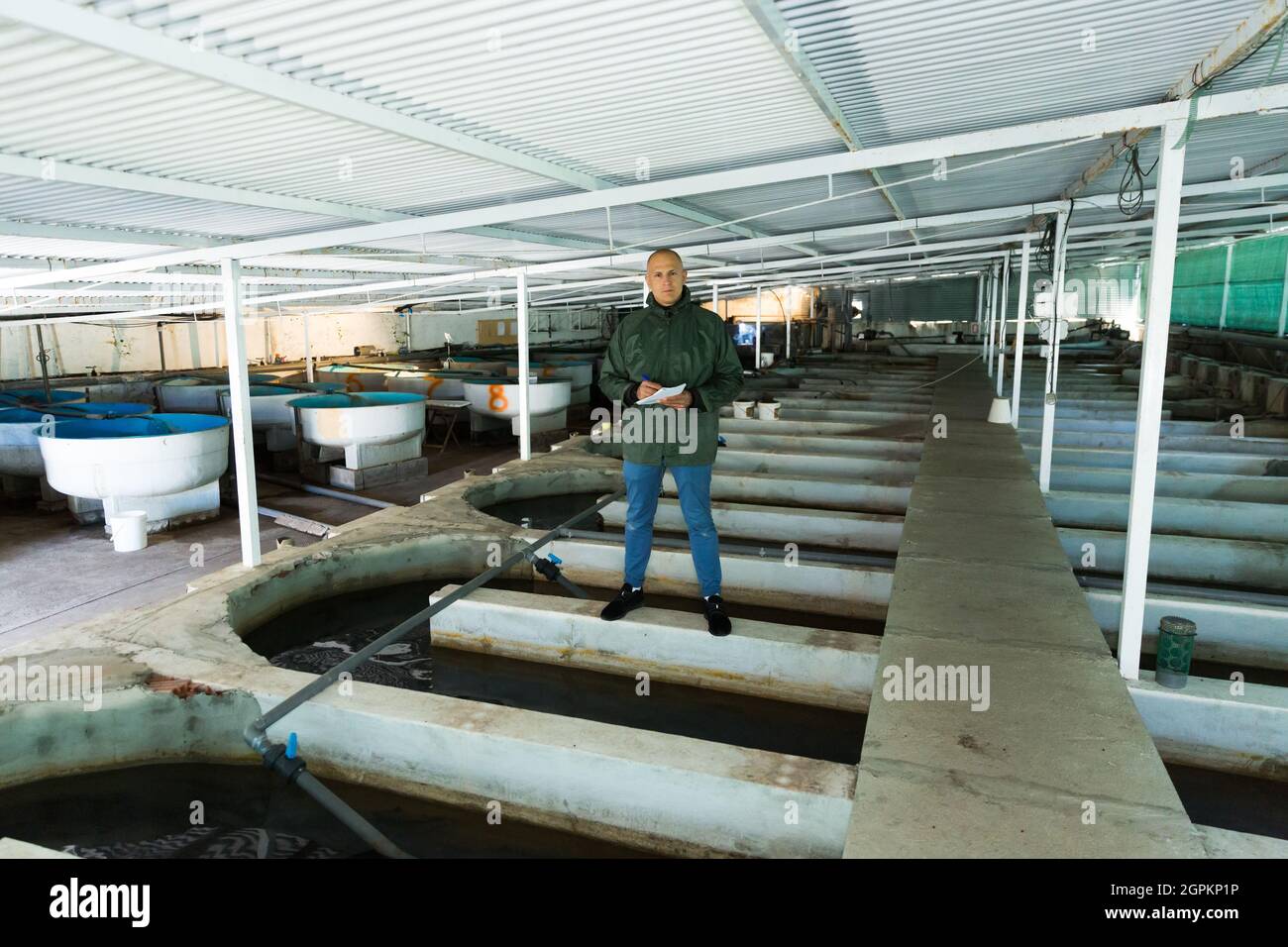 Man in working clothes controlling fish growth Stock Photo - Alamy