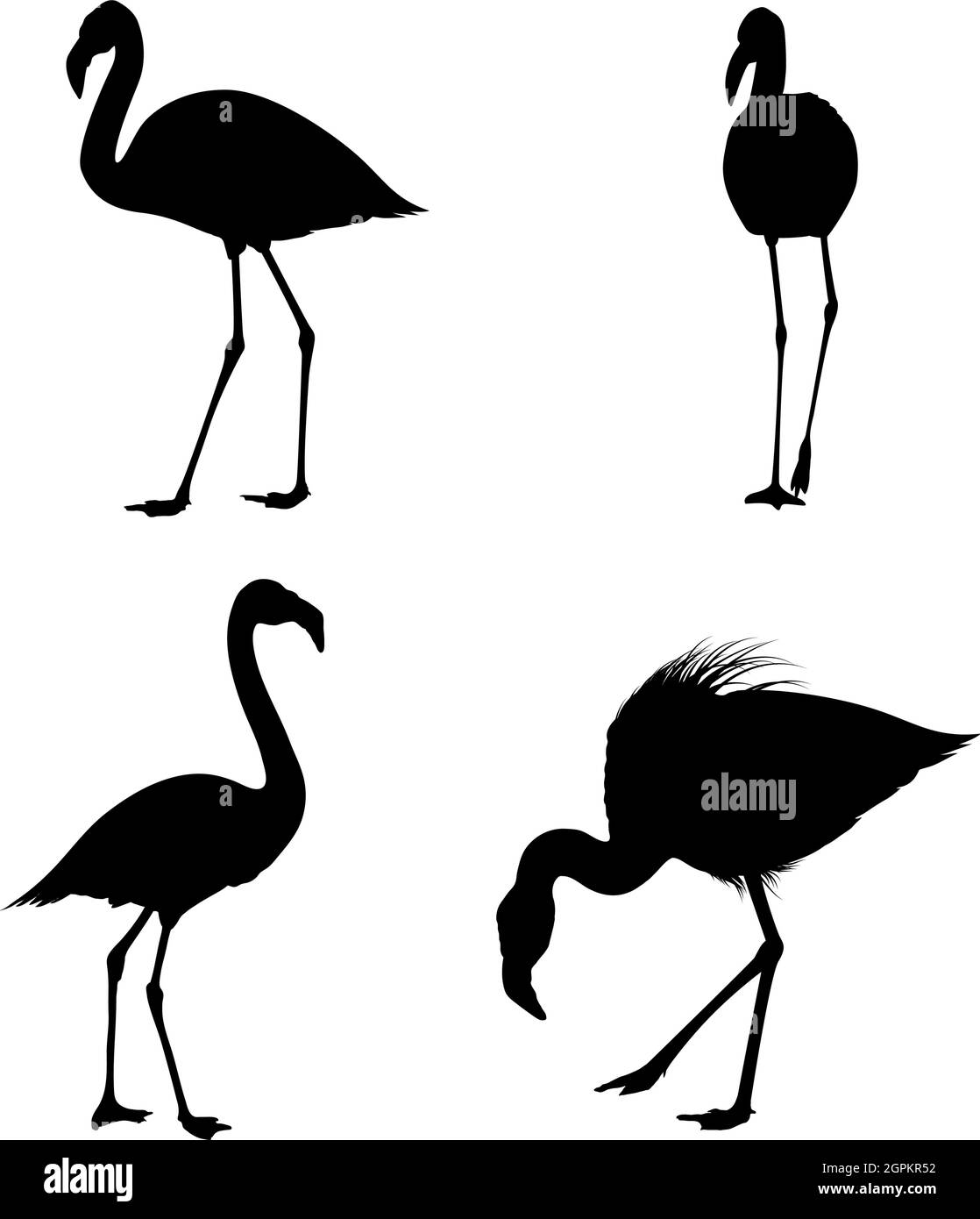 Pink flamingo pattern design Cut Out Stock Images & Pictures - Alamy