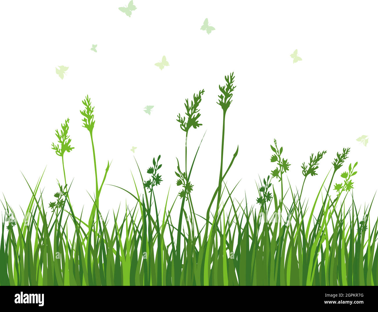 Green Grass Meadow Stock Vector Image & Art - Alamy