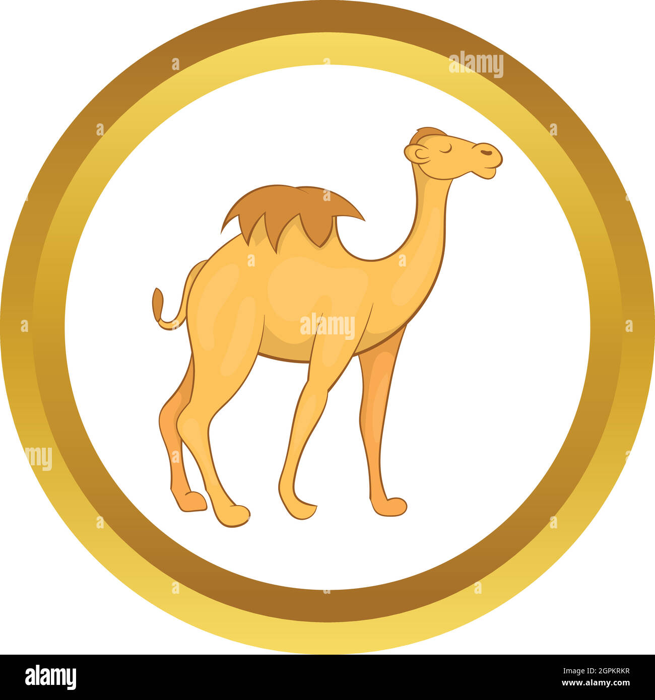 Camels Feet Images Clipart