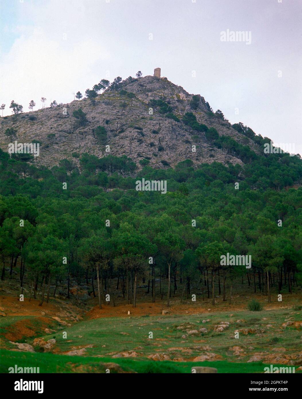 TORRE DEL CANUTO EN EL CERRO DEL HACHO. Location: EXTERIOR. RUTE VIEJO ...