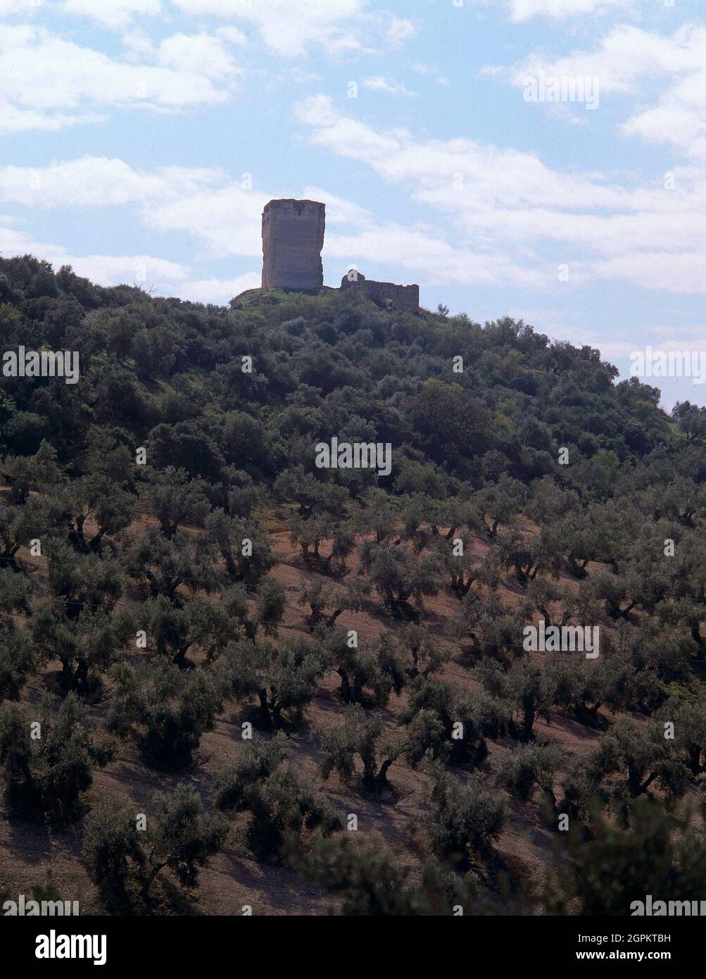 RUINAS DEL CASTILLO ARABE DEL SIGLO X - TORREON. Location: CASTILLO ...