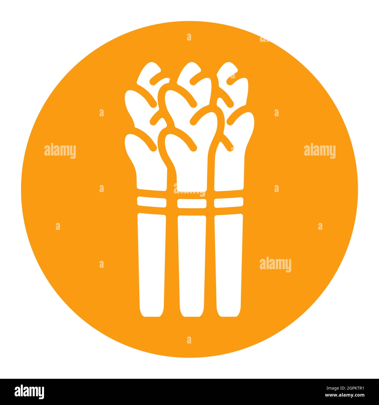 Asparagus vector white glyph icon. Vegetable symbol Stock Vector Image ...