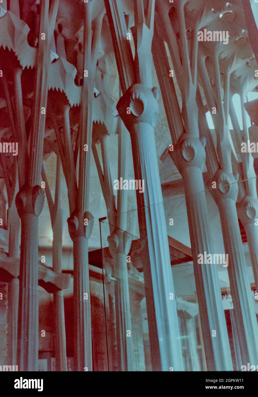 Sagrada Familia (interior): branching columns and lateral choir (the ...