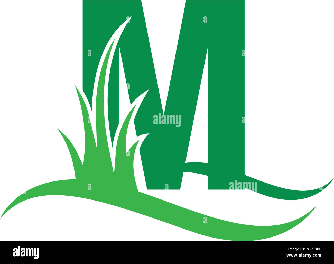Green Letter M Logo