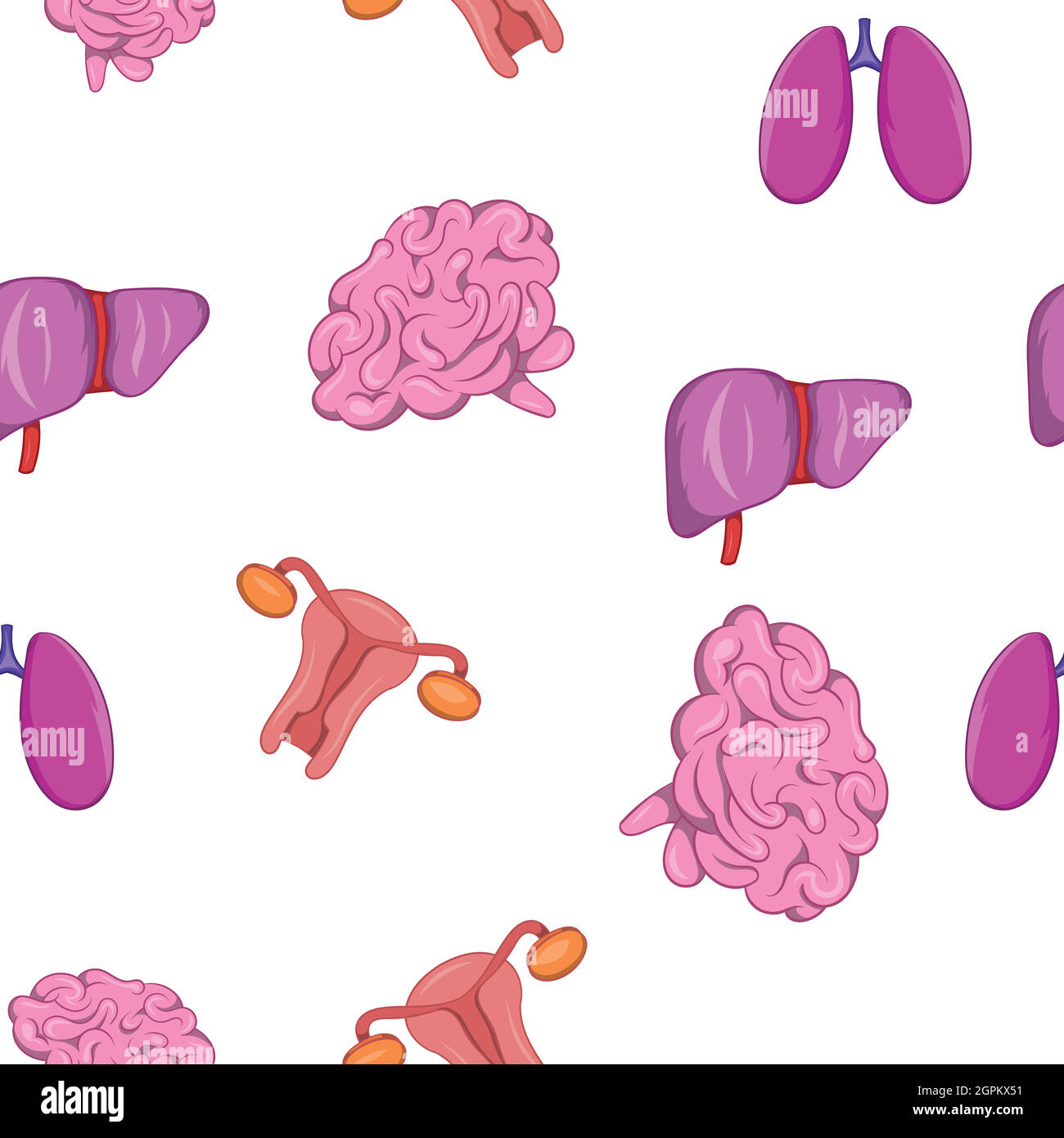 Internal organs pattern, cartoon style Stock Vector Image & Art - Alamy