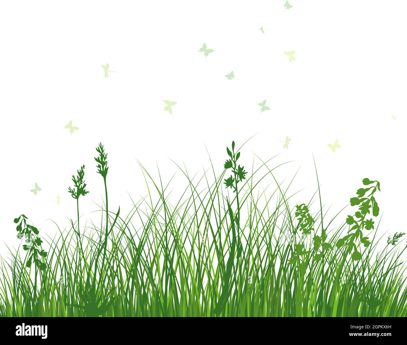 Green Grass Meadow Stock Vector Image & Art - Alamy